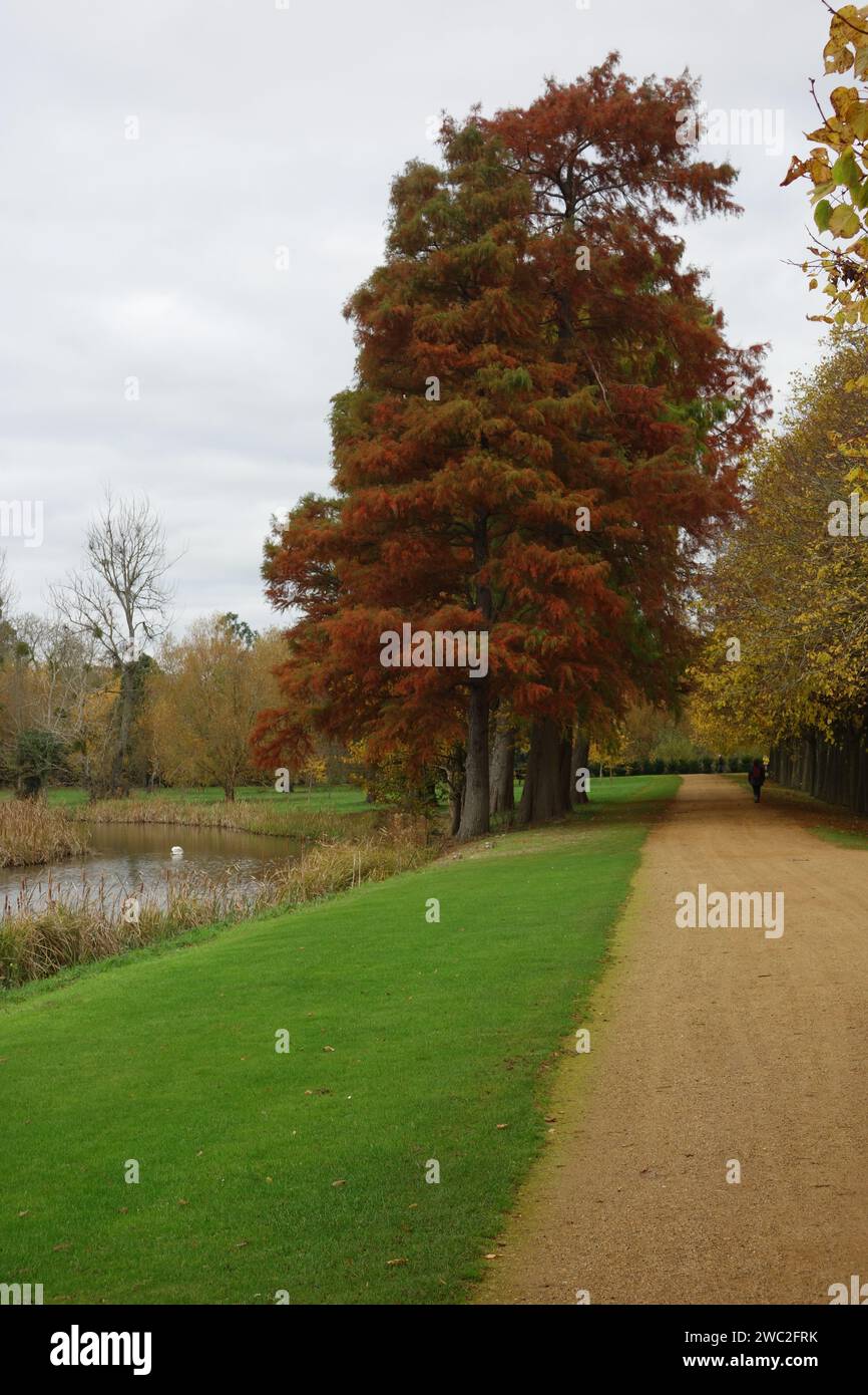 View of the park, Wrest Park, Silsoe, Bedfordshire, UK Stock Photo - Alamy