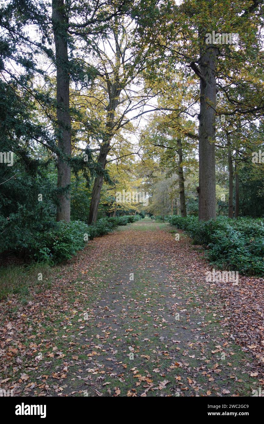 View of the park, Wrest Park, Silsoe, Bedfordshire, UK Stock Photo - Alamy