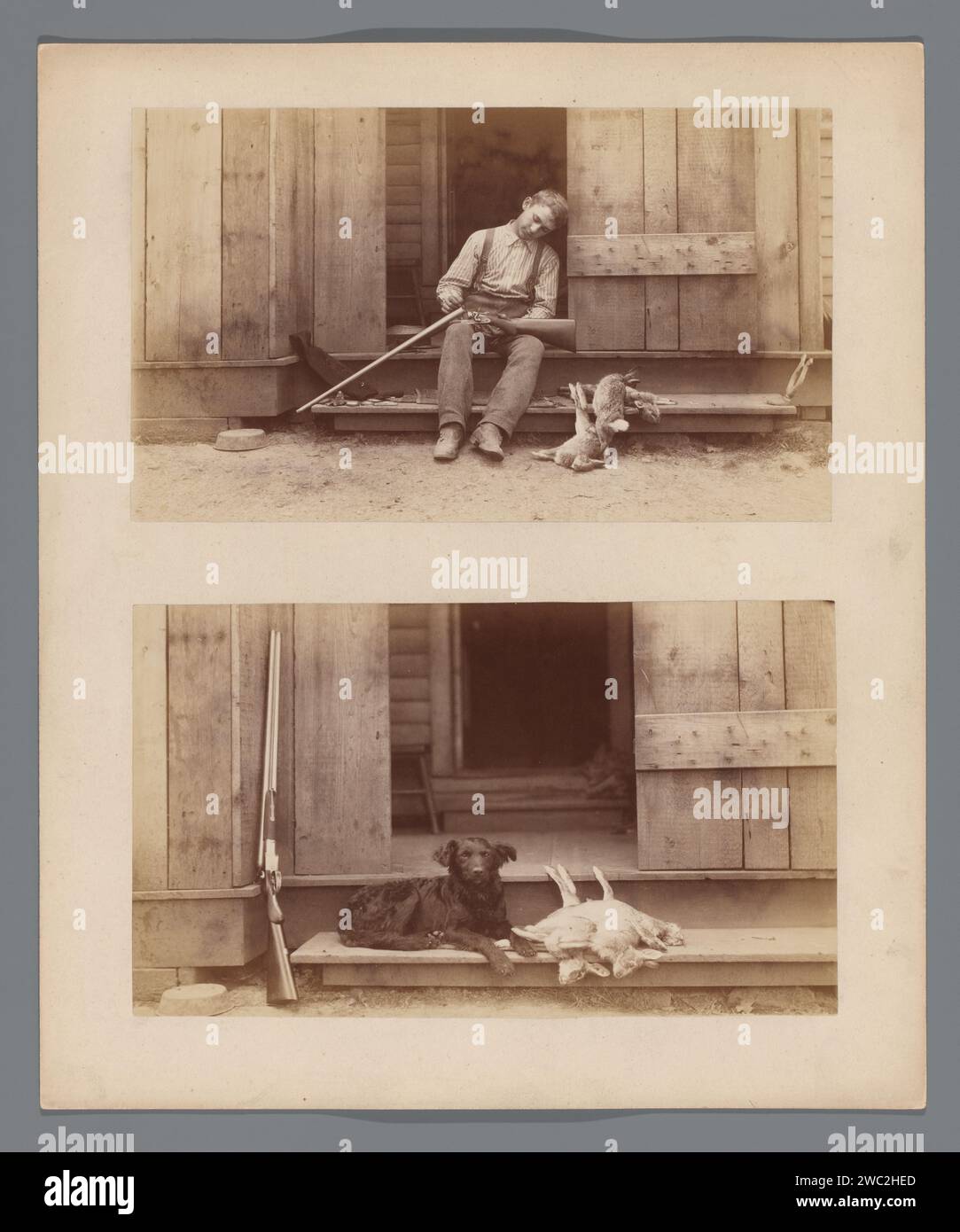 Dead rabbits hi-res stock photography and images - Alamy