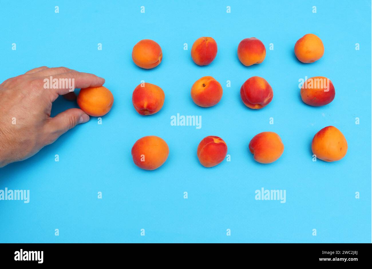 On a blue background, a man's hand puts an apricot Stock Photo - Alamy