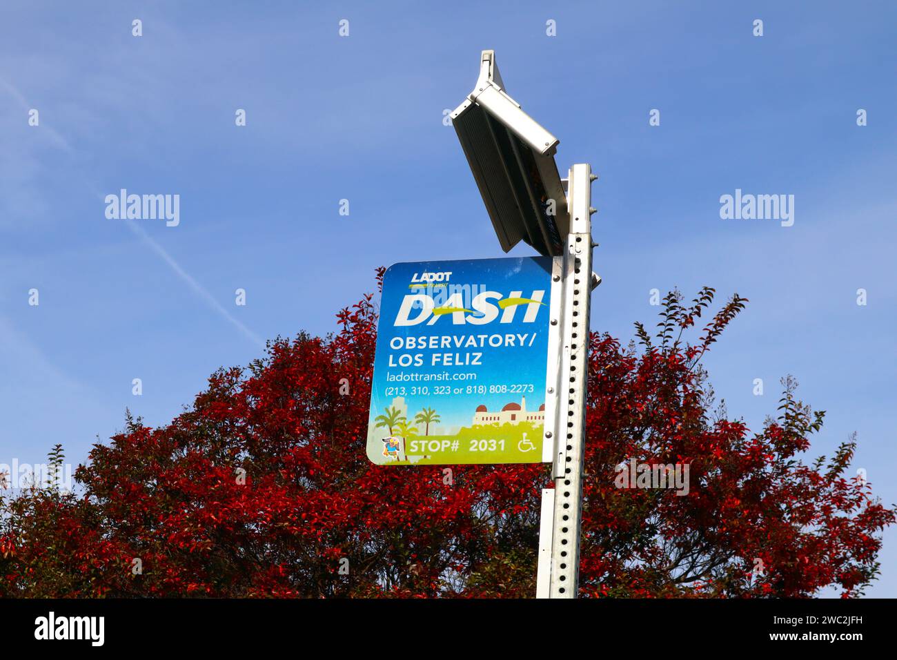 Los Angeles, California: Los Angeles LADOT Transit DASH Bus Stop at ...