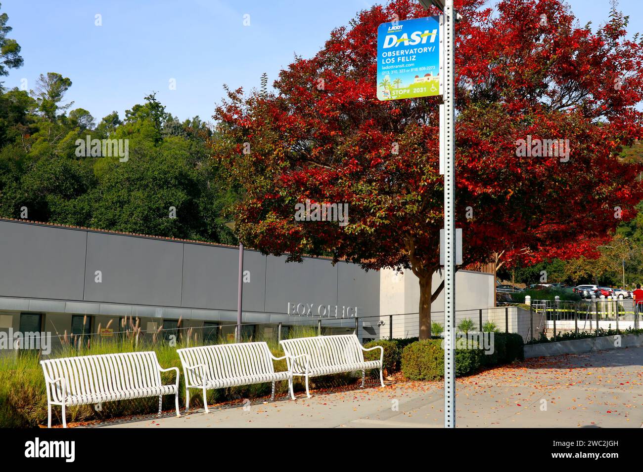 Los Angeles, California: Los Angeles LADOT Transit DASH Bus Stop at ...
