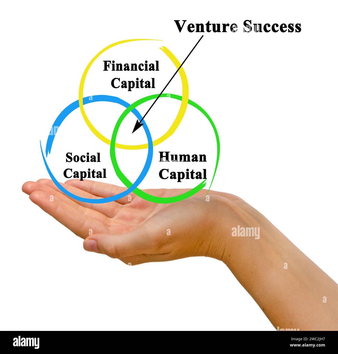 Components of success hi-res stock photography and images - Alamy