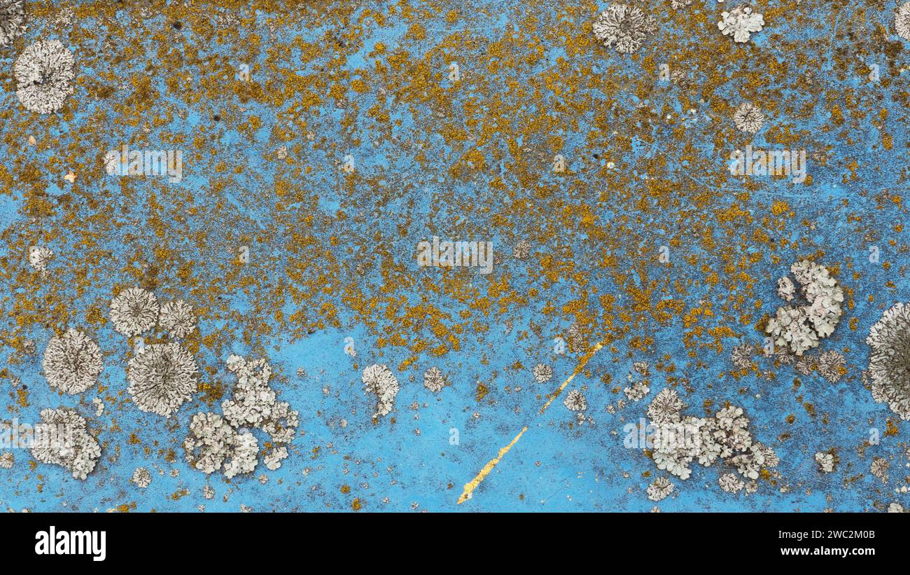 A blue wall destroyed by time, bad weather and humidity.A pattern of ...