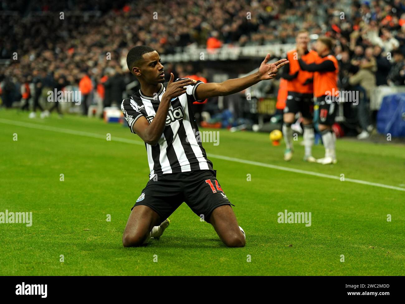 Newcastle United's Alexander Isak celebrates scoring their side's first ...
