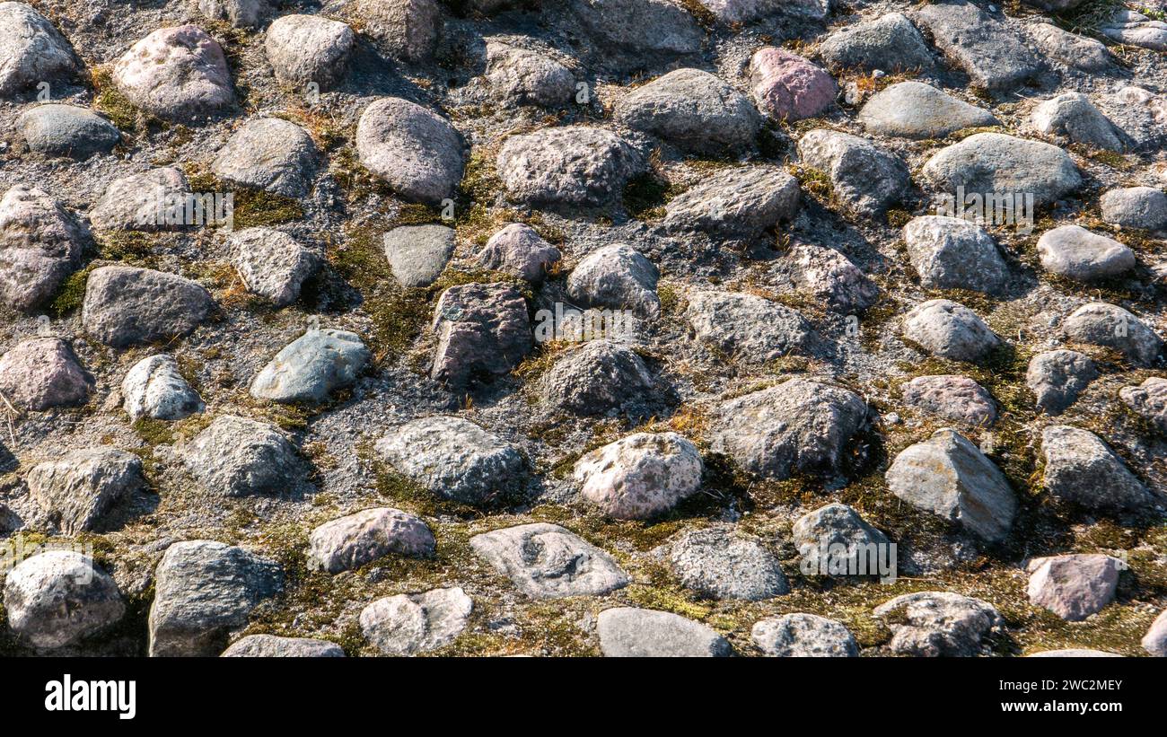 Paving stones with some moss. Stone road with moss Stock Photo - Alamy