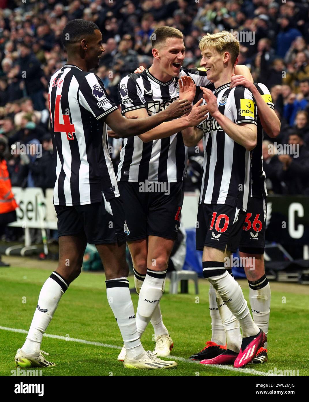 Newcastle United's Anthony Gordon celebrates scoring their side's ...