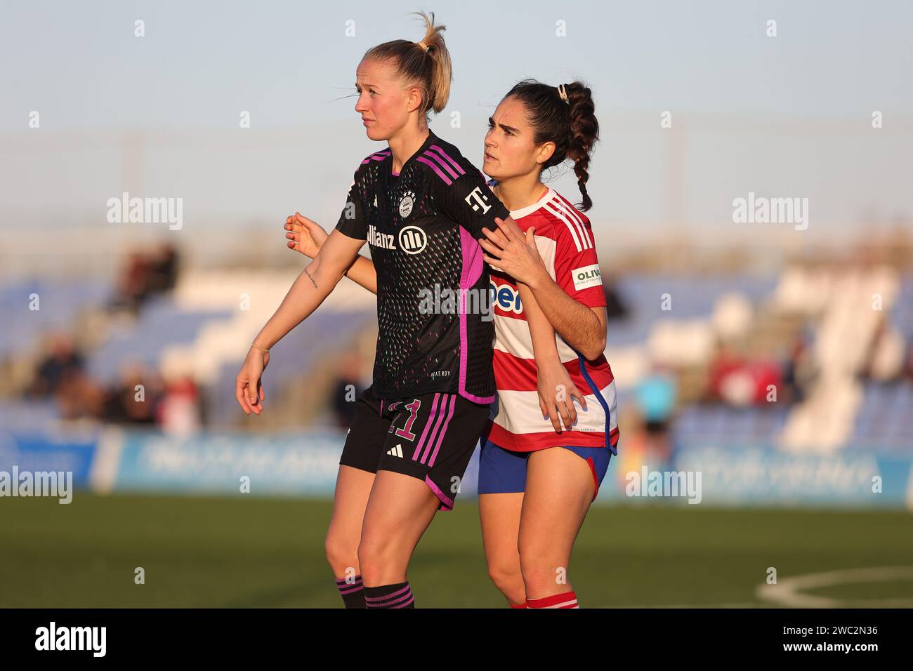 Noroa hi-res stock photography and images - Alamy