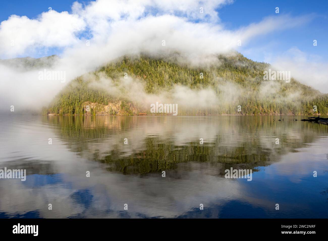 WA24659-00....WASHINGTON - Calm fog lifting over Lake Crescent near the ...
