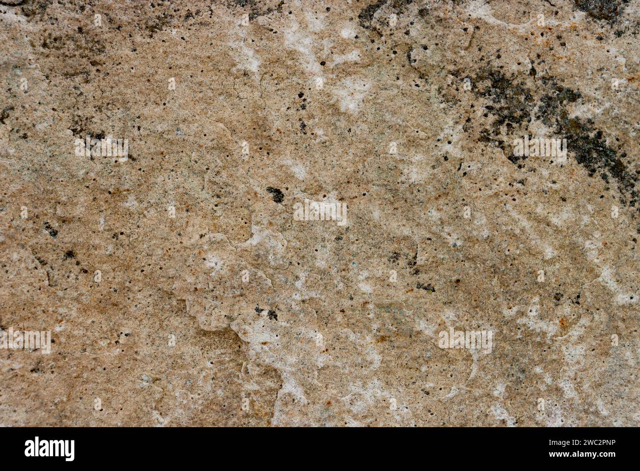 The texture of the granite stone surface in close-up. Texture for ...
