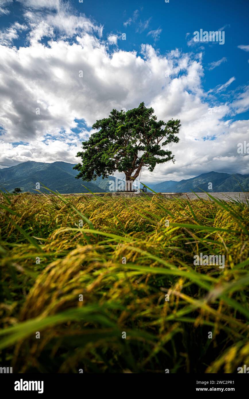 An idyllic landscape featuring a majestic tree in the center of a lush ...
