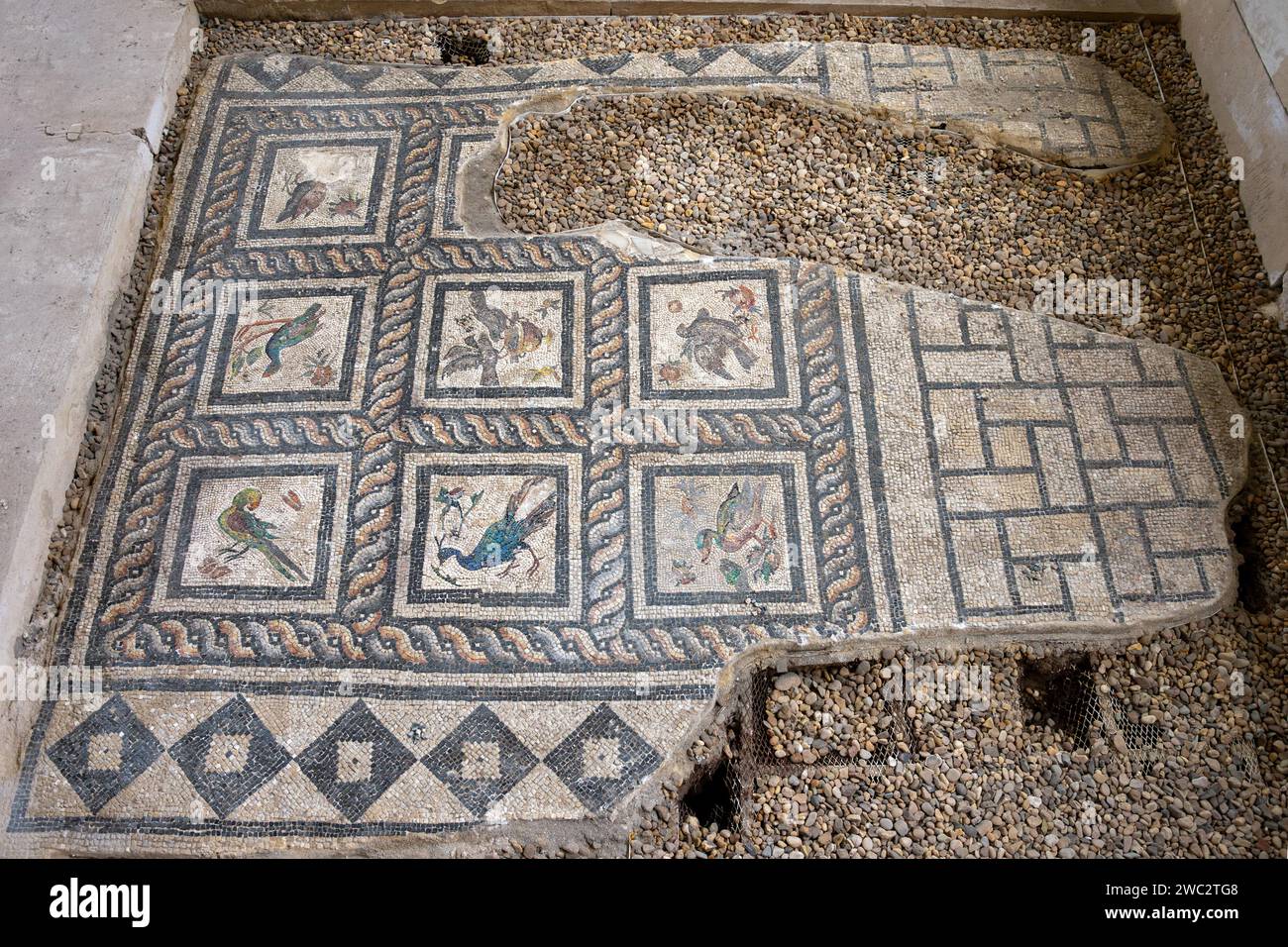Roman Mosaics on the floor in a building near the Roman amphitheater of ...