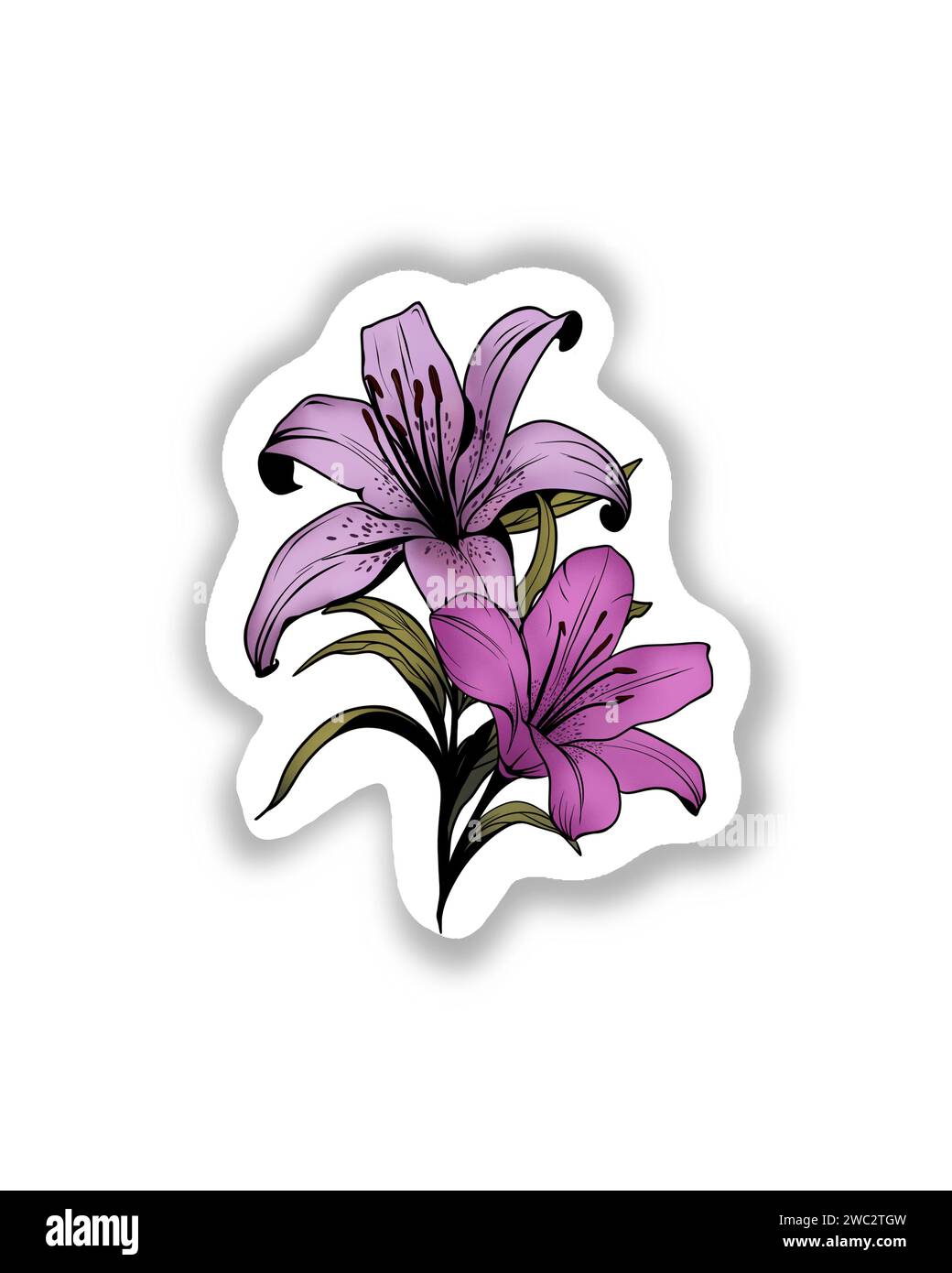 Lily flower sticker watercolor illustration drawn by hand. Beautiful ...