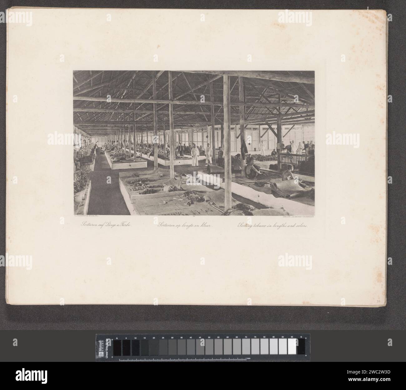 Sorting barn of a tobacco plantation in Sumatra, in or before 1898 ...