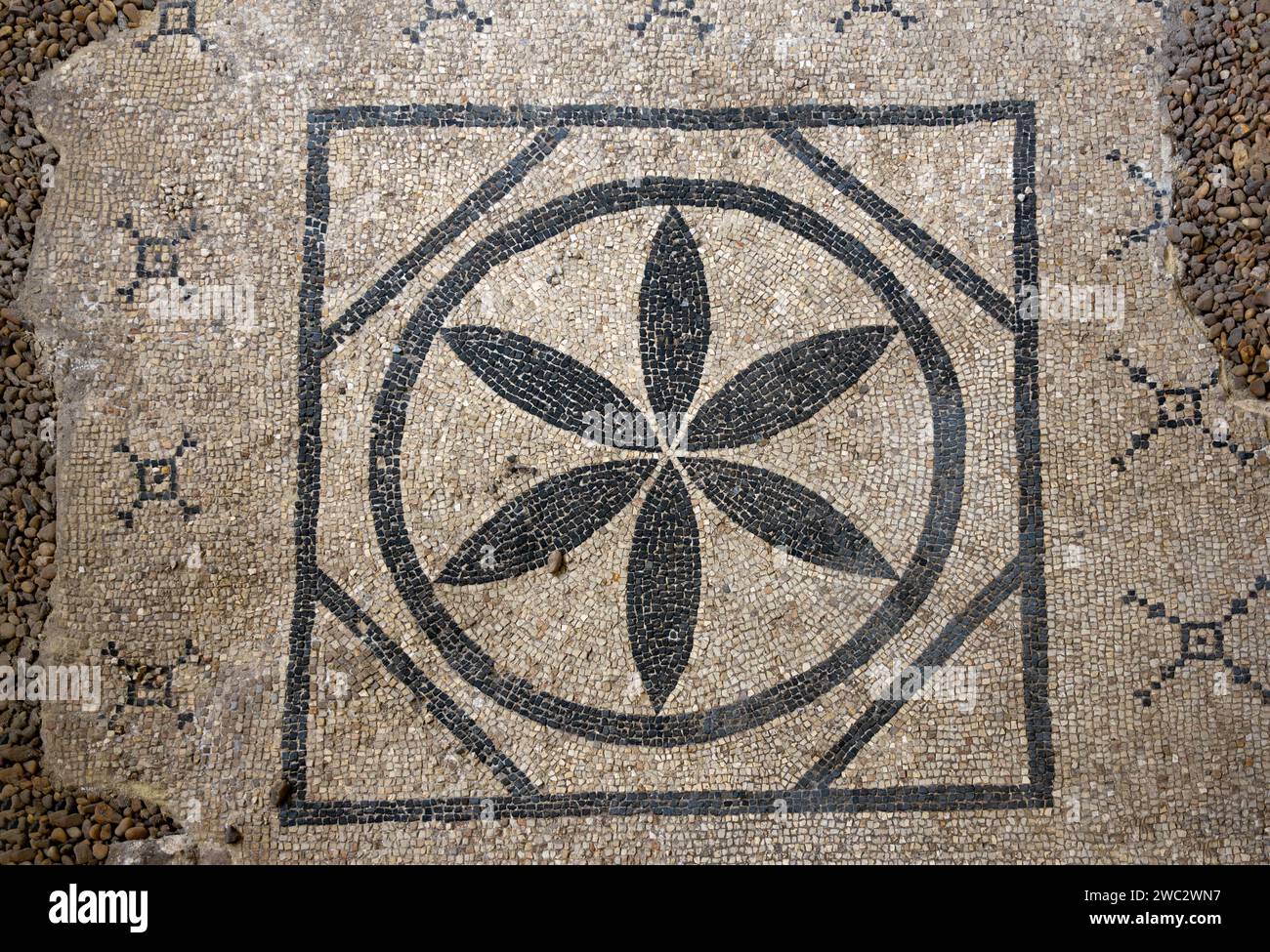 Roman Mosaics on the floor in a building near the Roman amphitheater of ...