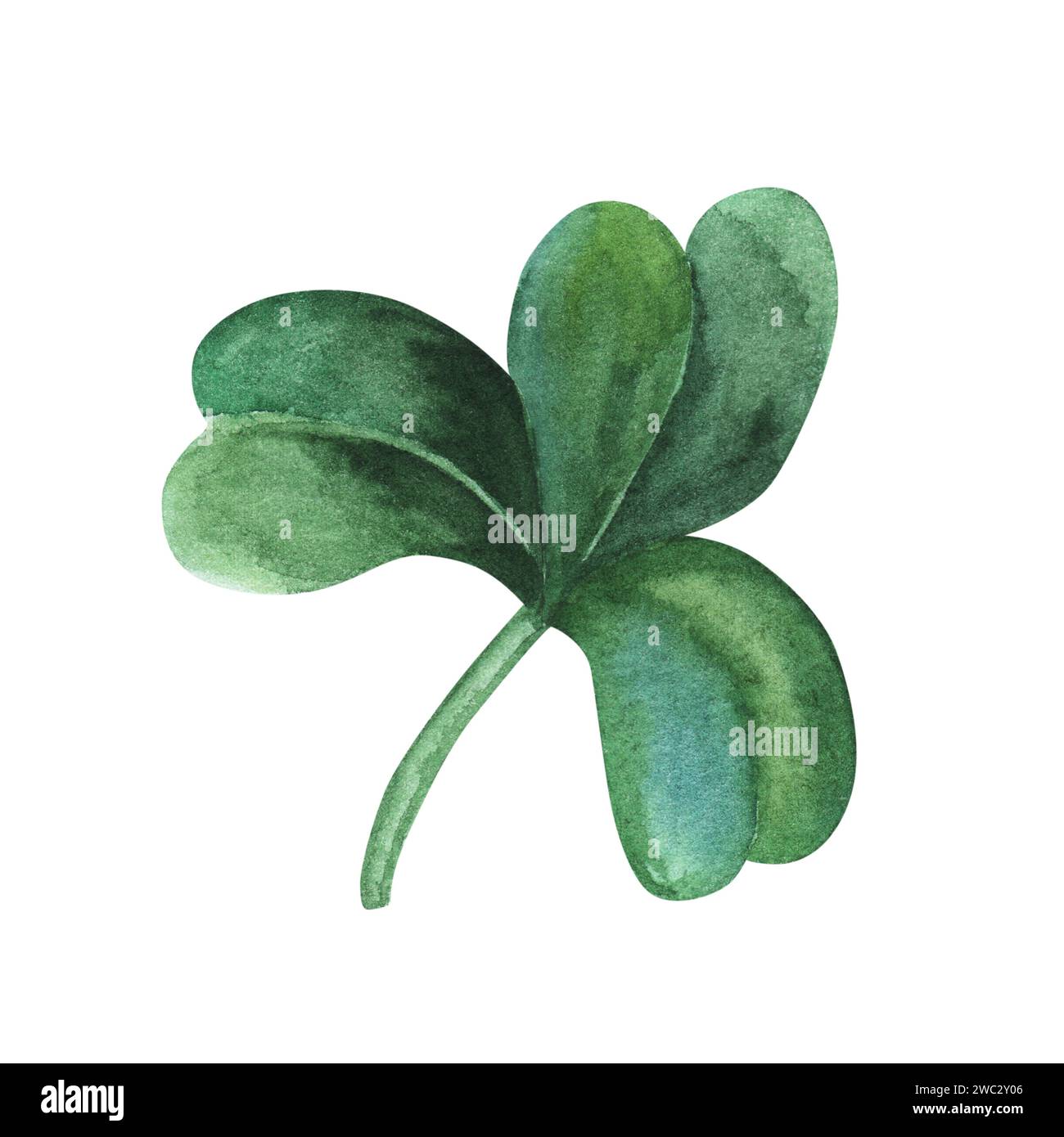 Four-leaf clover. Watercolor illustration isolated on white background ...
