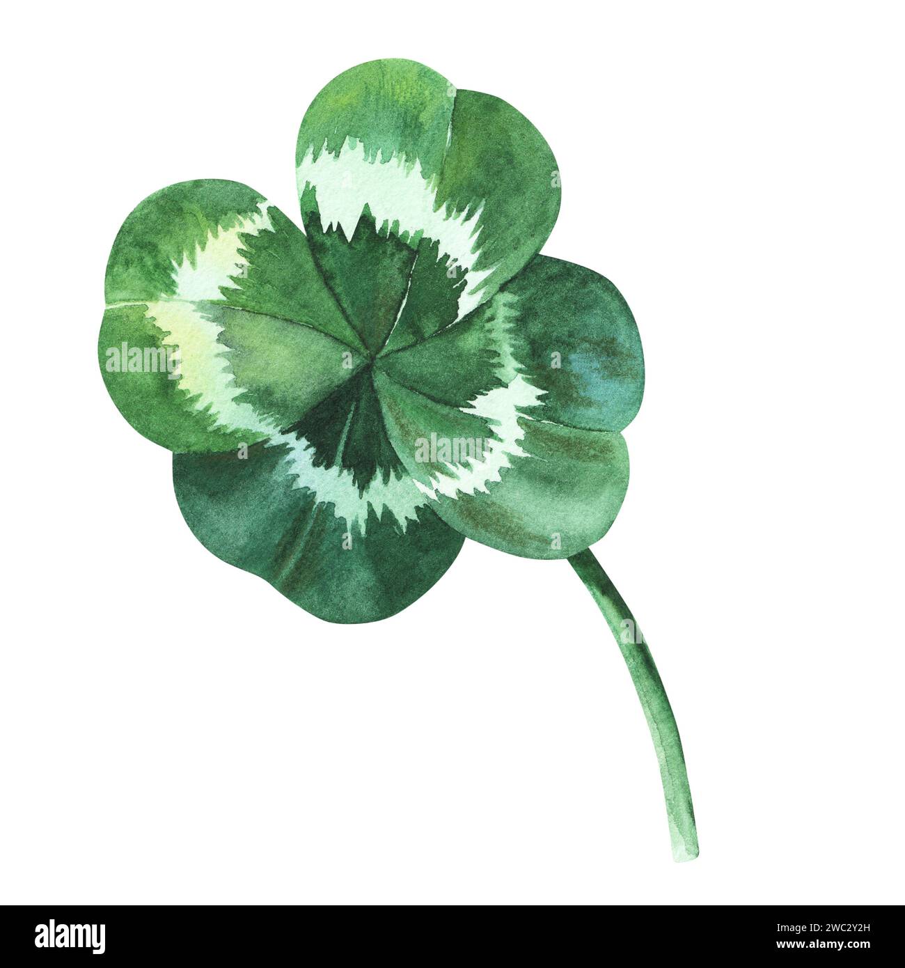 Four-leaf clover. Watercolor illustration isolated on white background ...