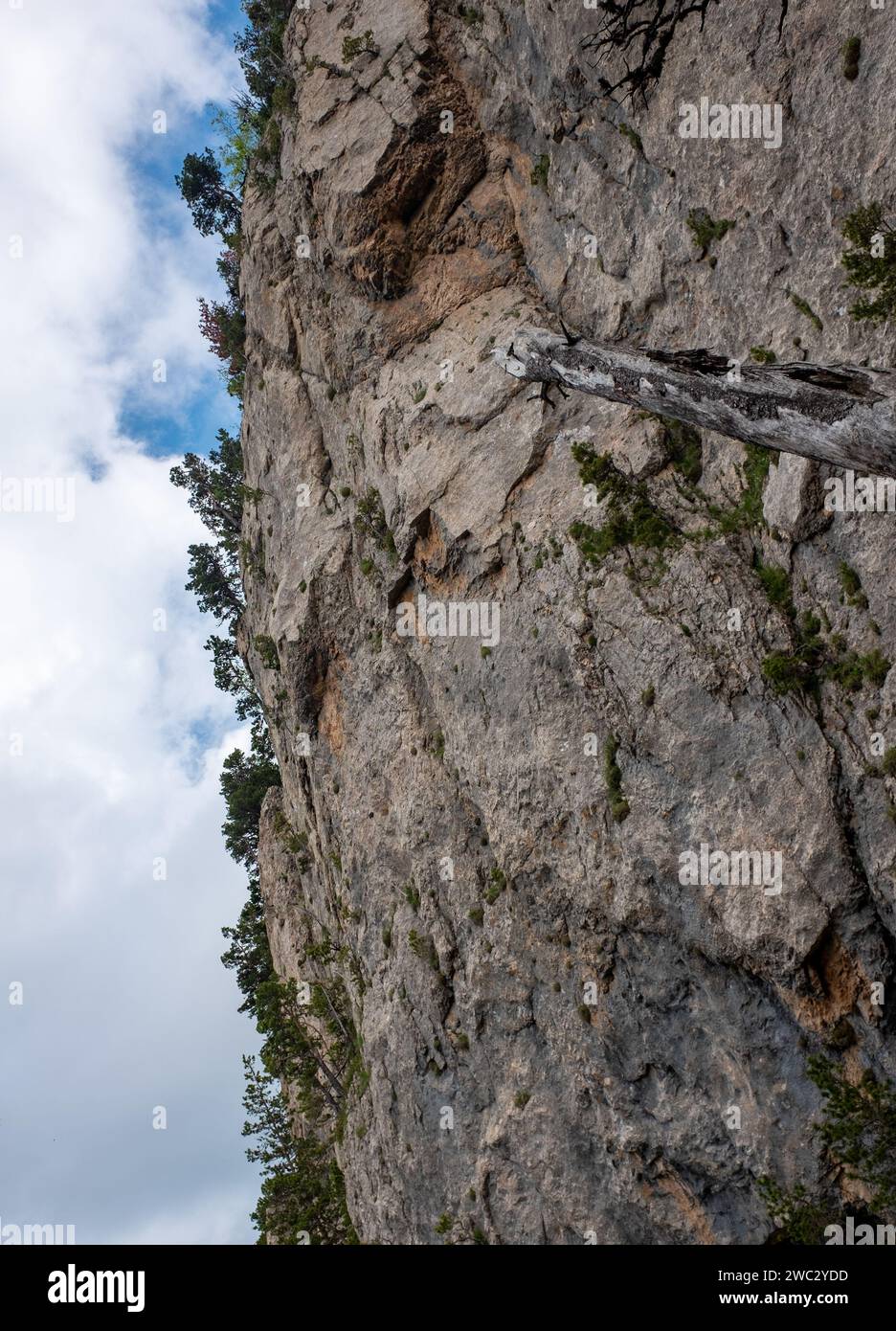 Green trees grow on a steep cliff in the Caucasus mountains Stock Photo ...