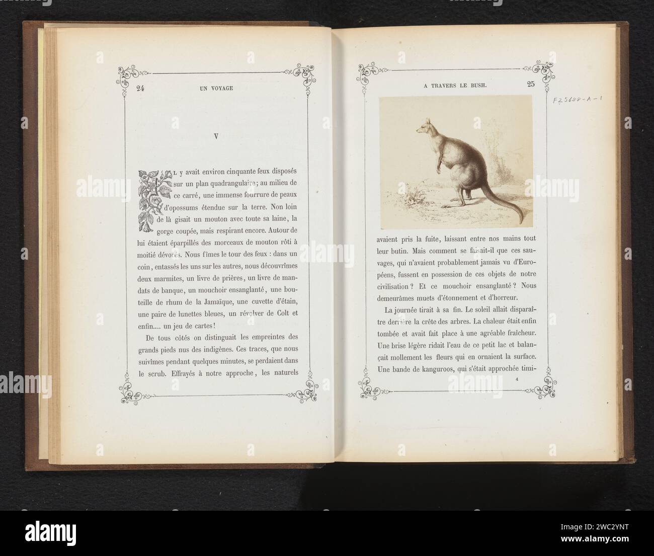 Photo production of a drawing of a kangaroo, François Poncy, After ...