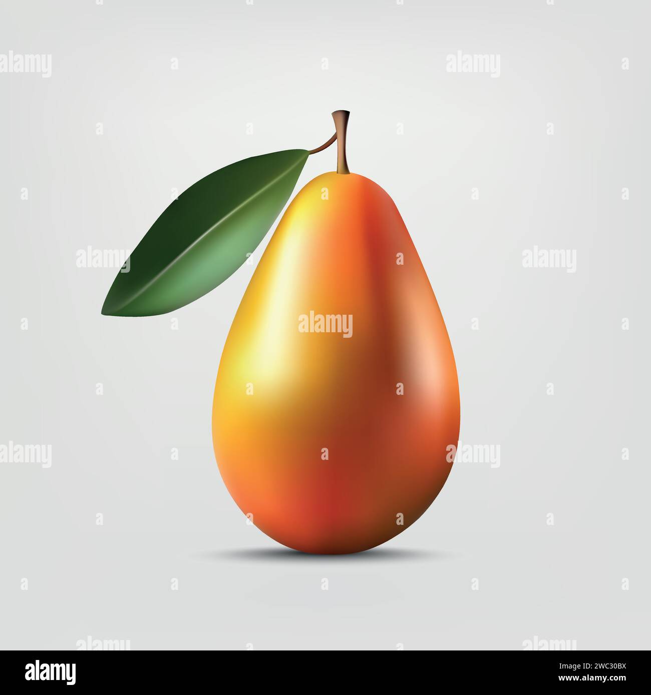 Mango isolated on white background. Photo realistic vector illustration ...