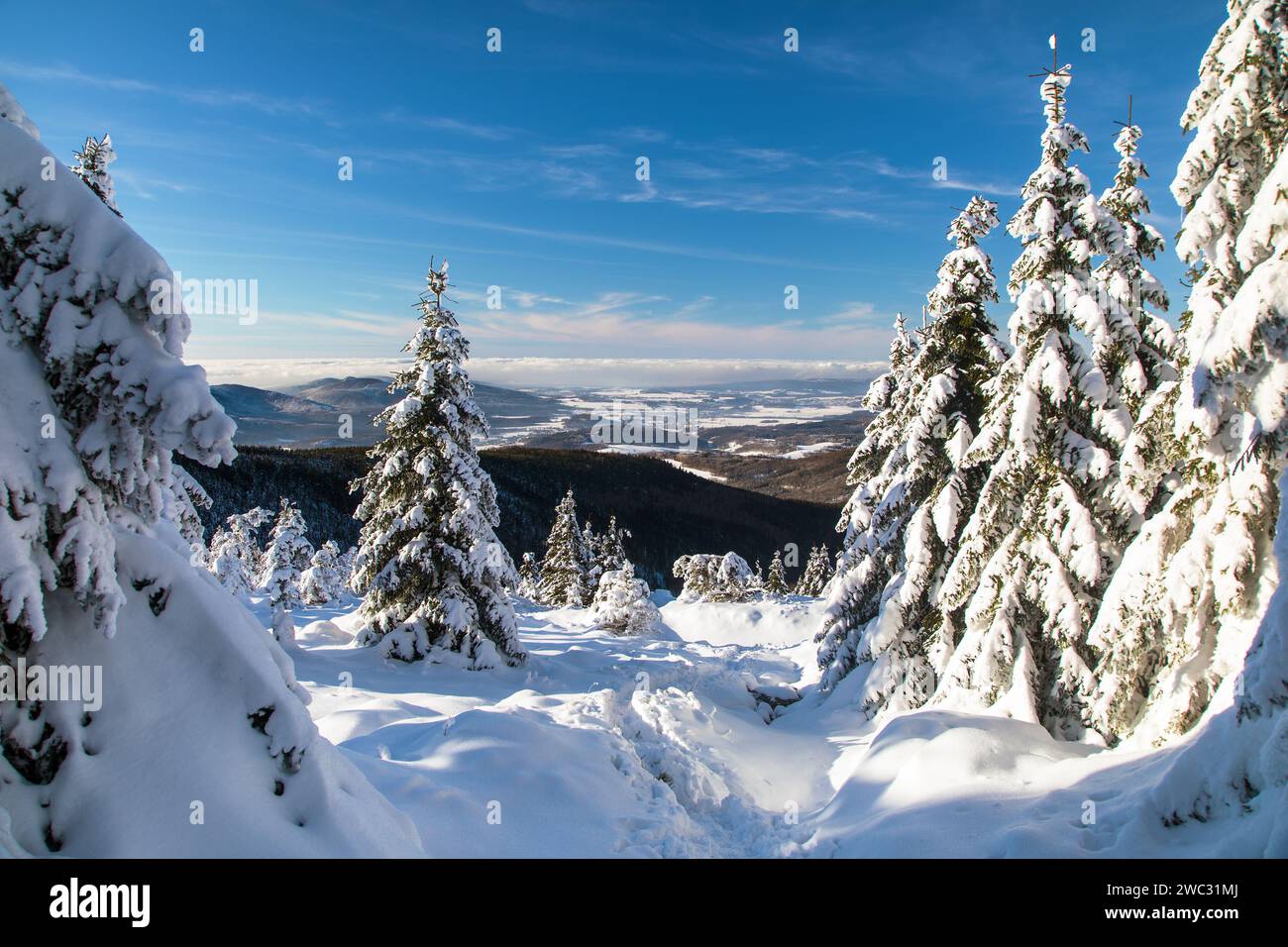Snow covered trees giant mountains hi-res stock photography and images ...