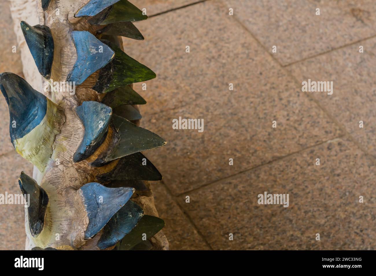 Closeup of lower rows of teeth from prehistoric shark Stock Photo - Alamy
