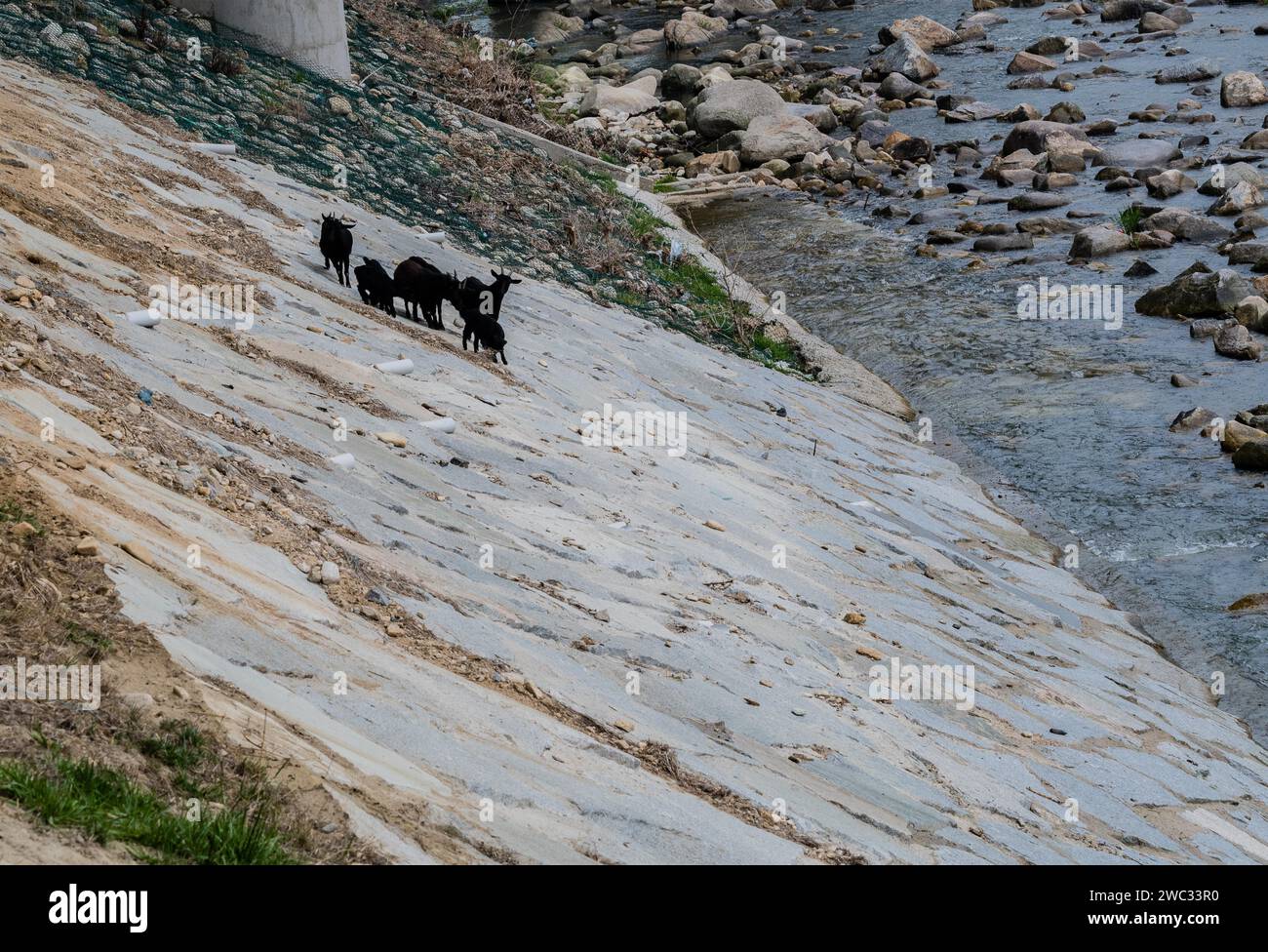 Little goat river hi-res stock photography and images - Alamy