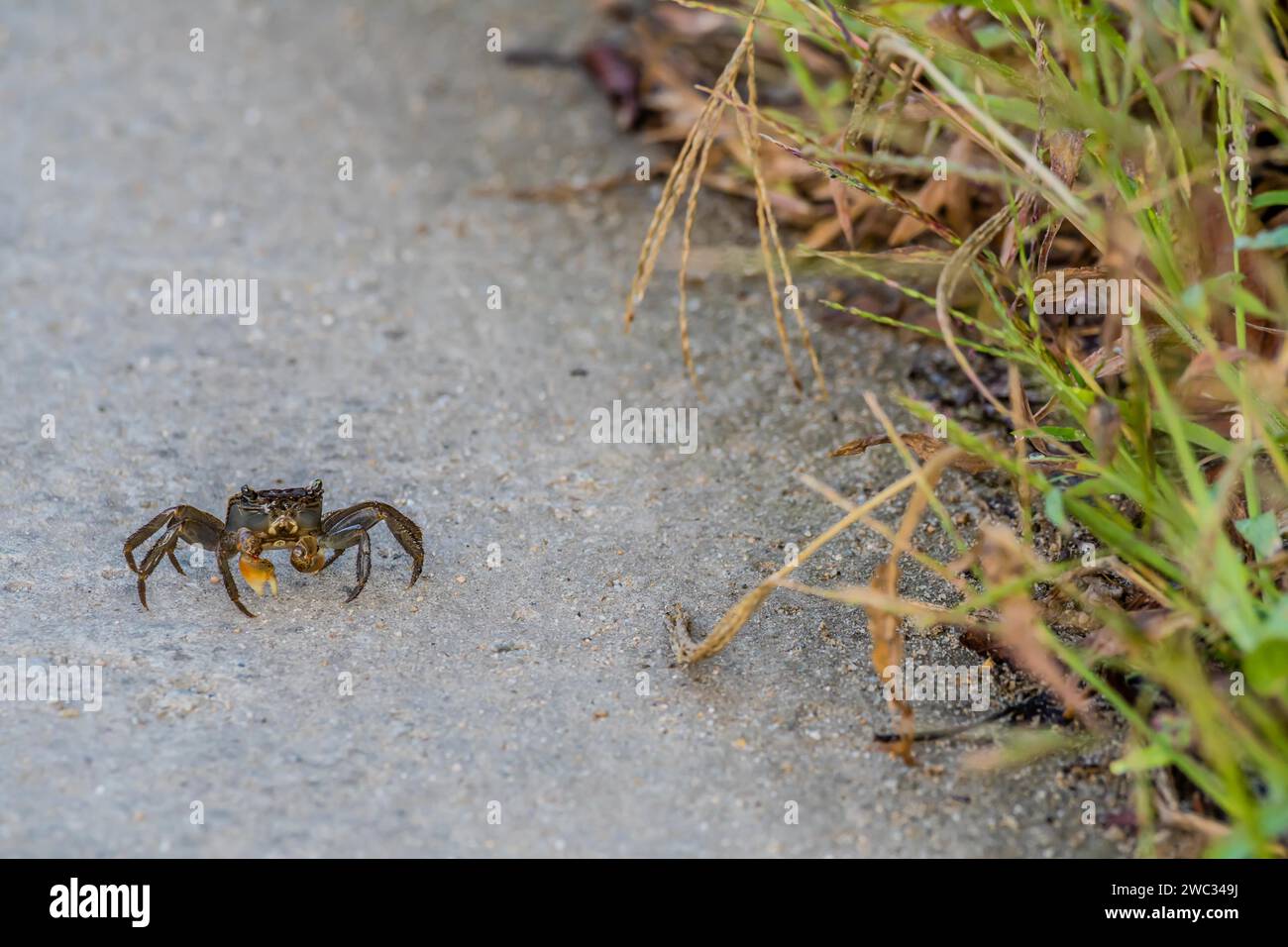 Go on camera hi-res stock photography and images - Alamy