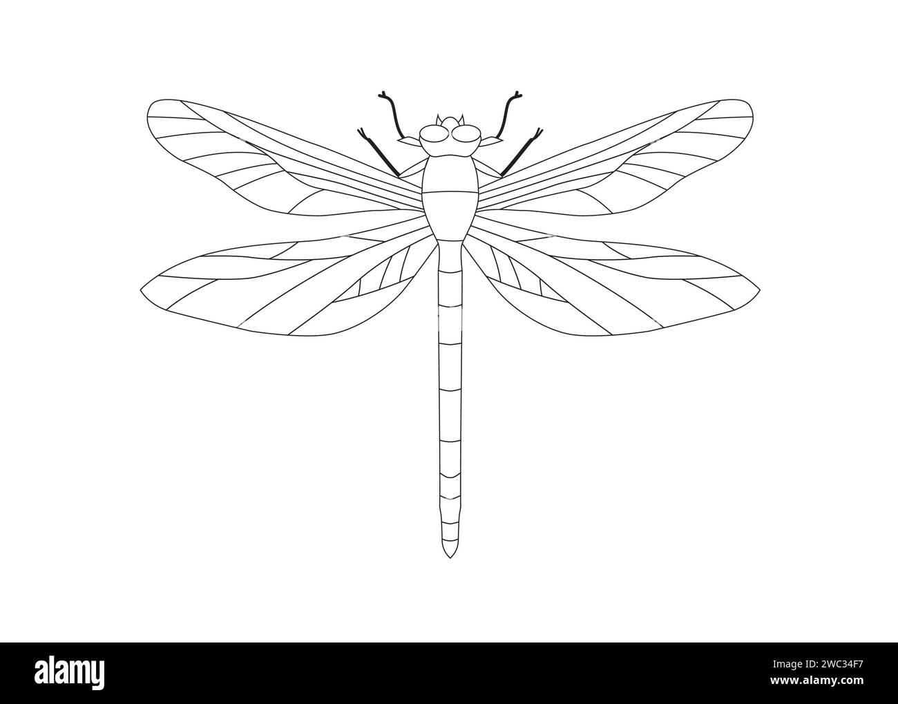 Detail macro fire Cut Out Stock Images & Pictures - Alamy