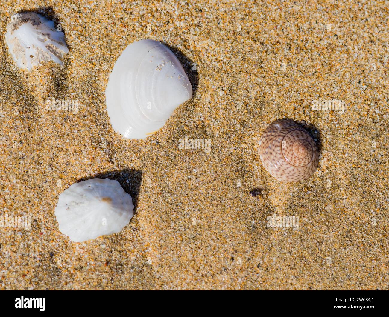 Collection beach hi-res stock photography and images - Alamy