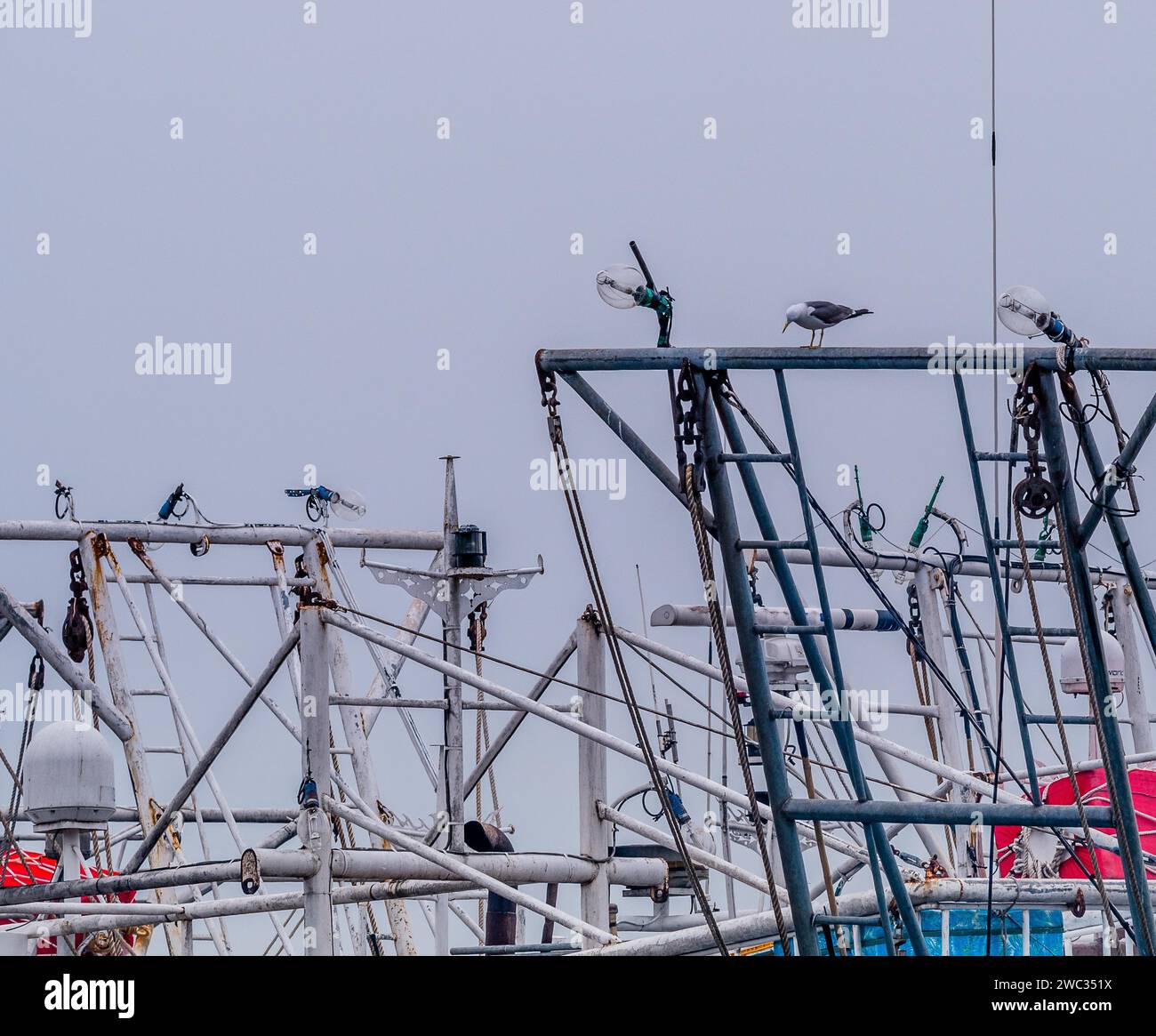 Seagull perched on metal crossbeam of a boat between two large ...