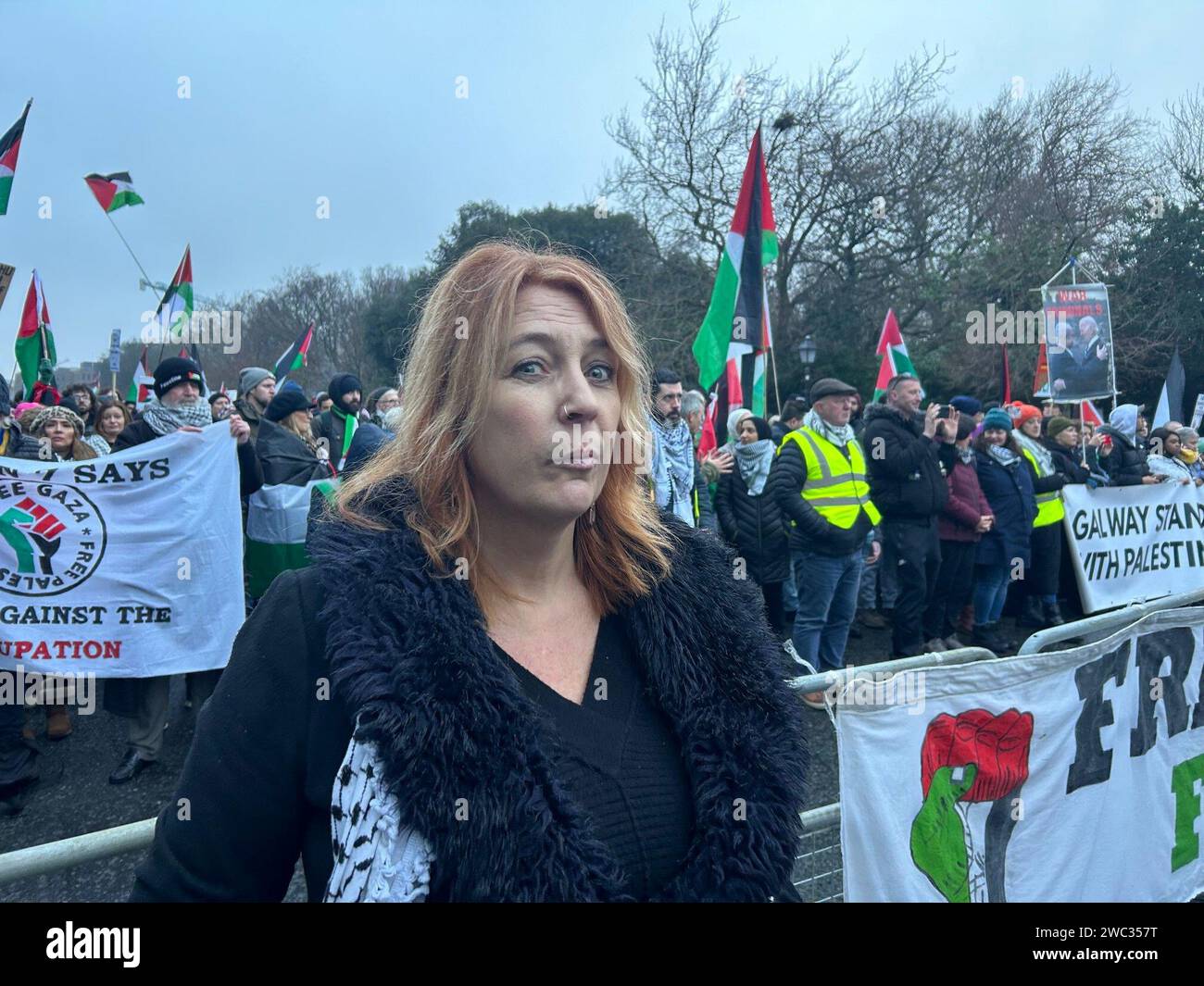 Zoe Lawlor, IPSC chairwomanduring a Ireland-Palestine Solidarity ...