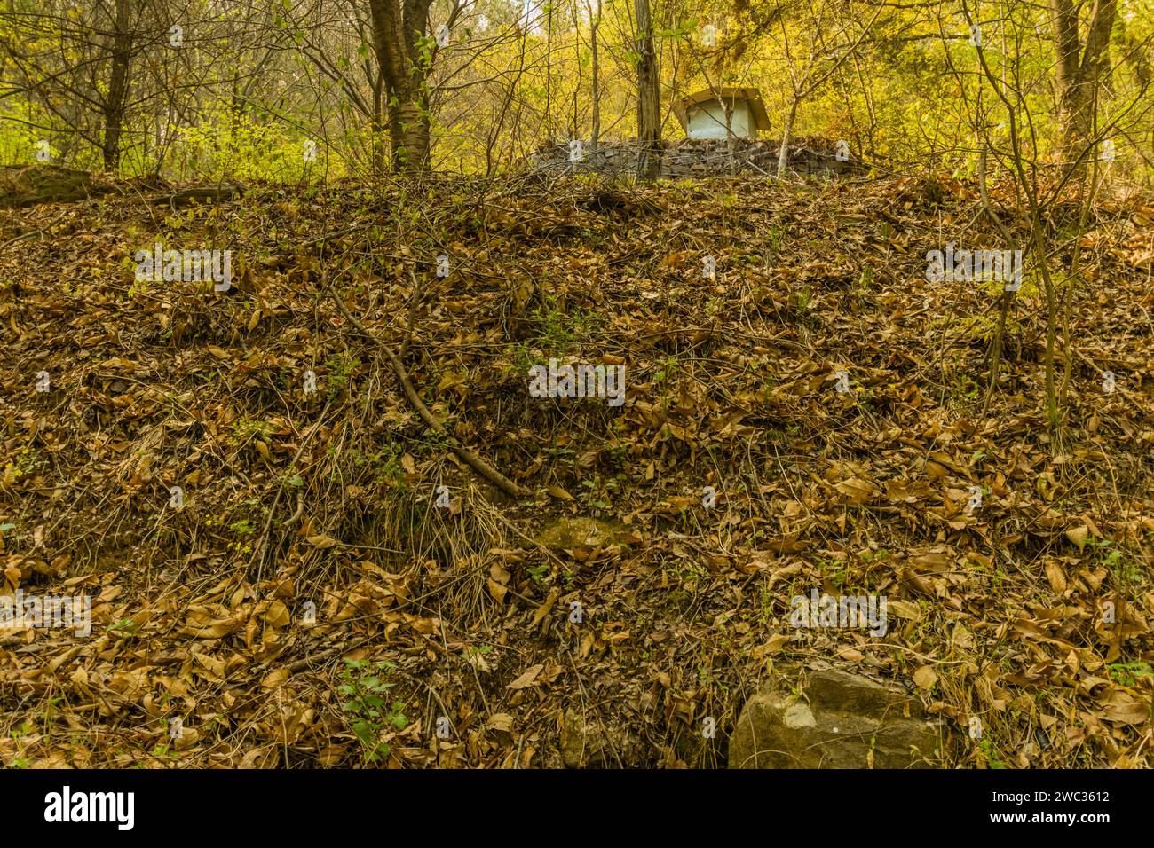 Small storage shed behind stone wall on top of steep hillside in wooded ...