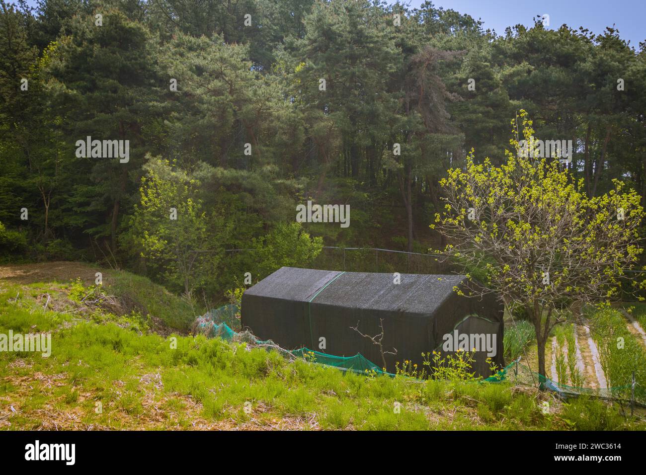 Small shed covered with black mesh material in a wooded area in the ...
