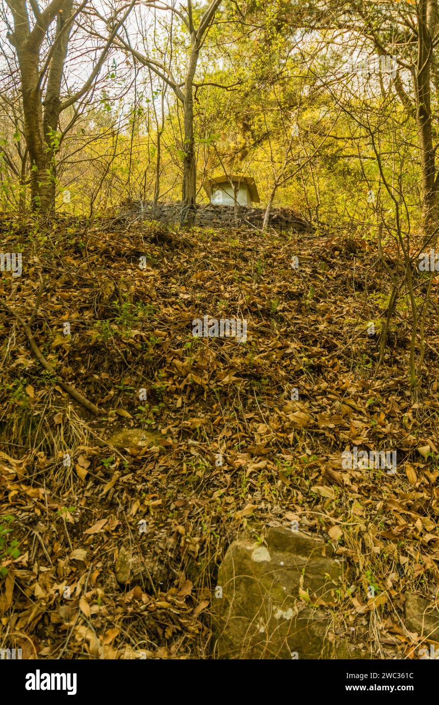 Small storage shed behind stone wall on top of steep hillside in wooded ...