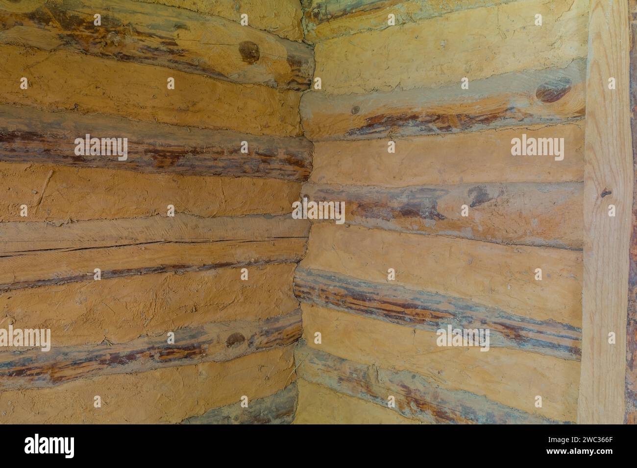 Interior corner of two walls of log cabin made of logs and held ...