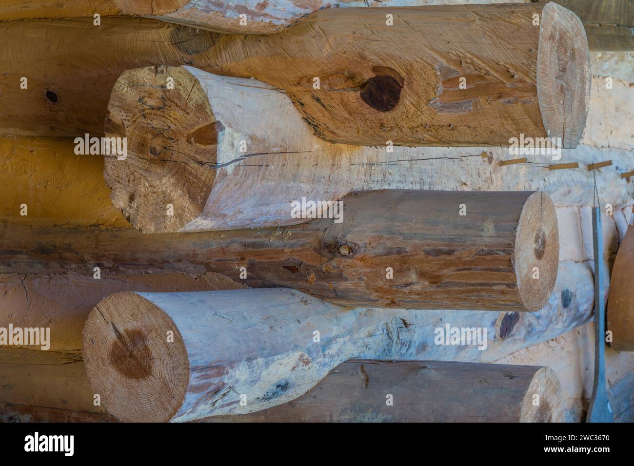 Exterior corner of log cabin with details of joints and mud holding ...
