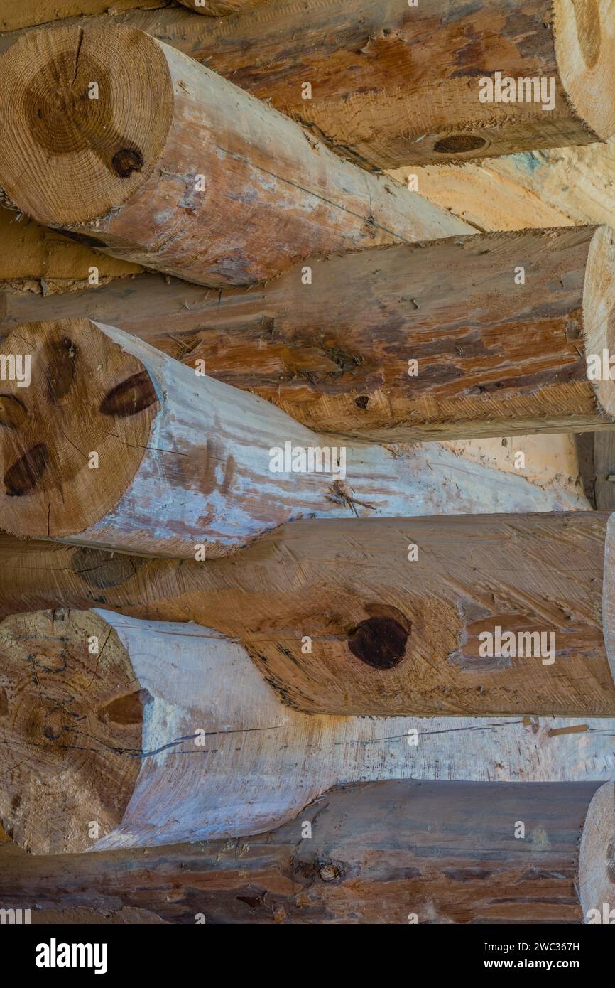 Exterior corner of log cabin with details of joints and mud holding ...