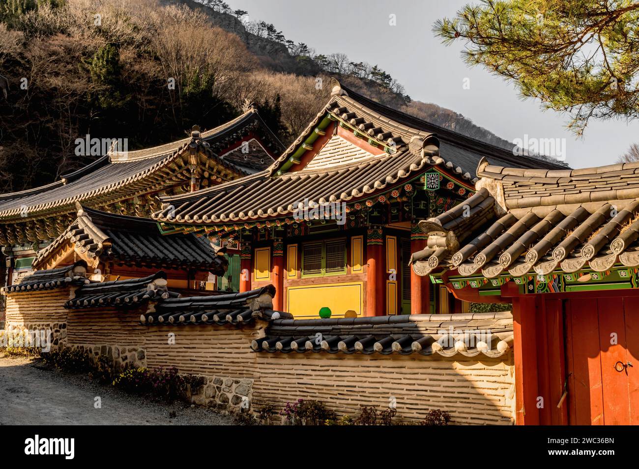 Buildings behind mud brick wall at Buddhist temple Stock Photo - Alamy