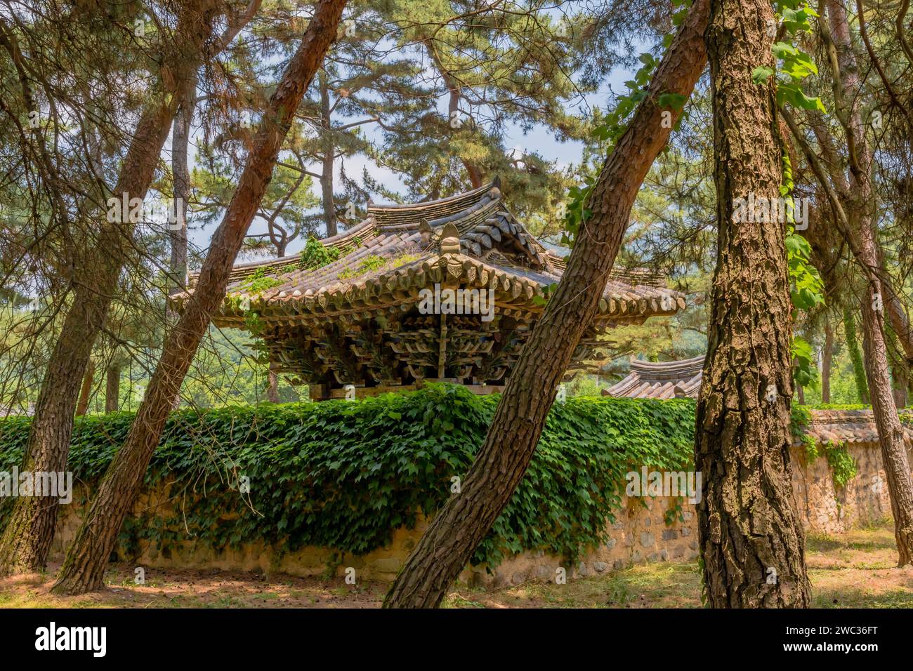 Korean filial hi-res stock photography and images - Alamy