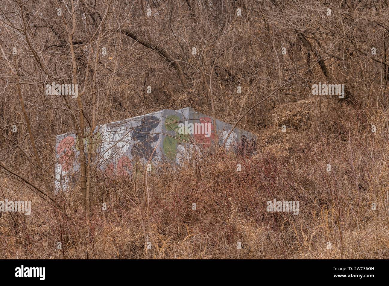Small concrete building painted in camouflage colors in dense ...
