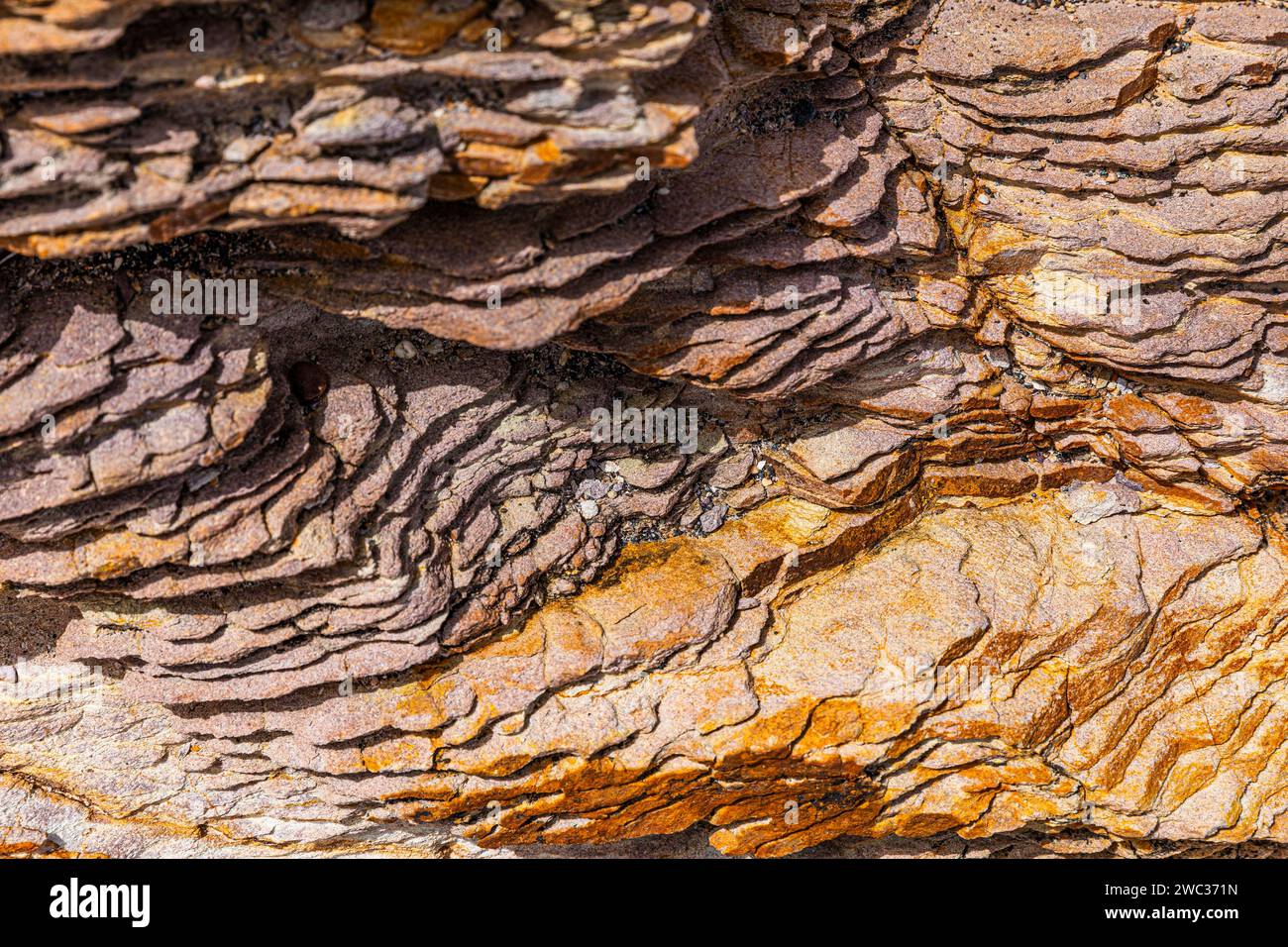 Coloured, ferruginous mineral sandstone on Topinetti beach, near Rio ...