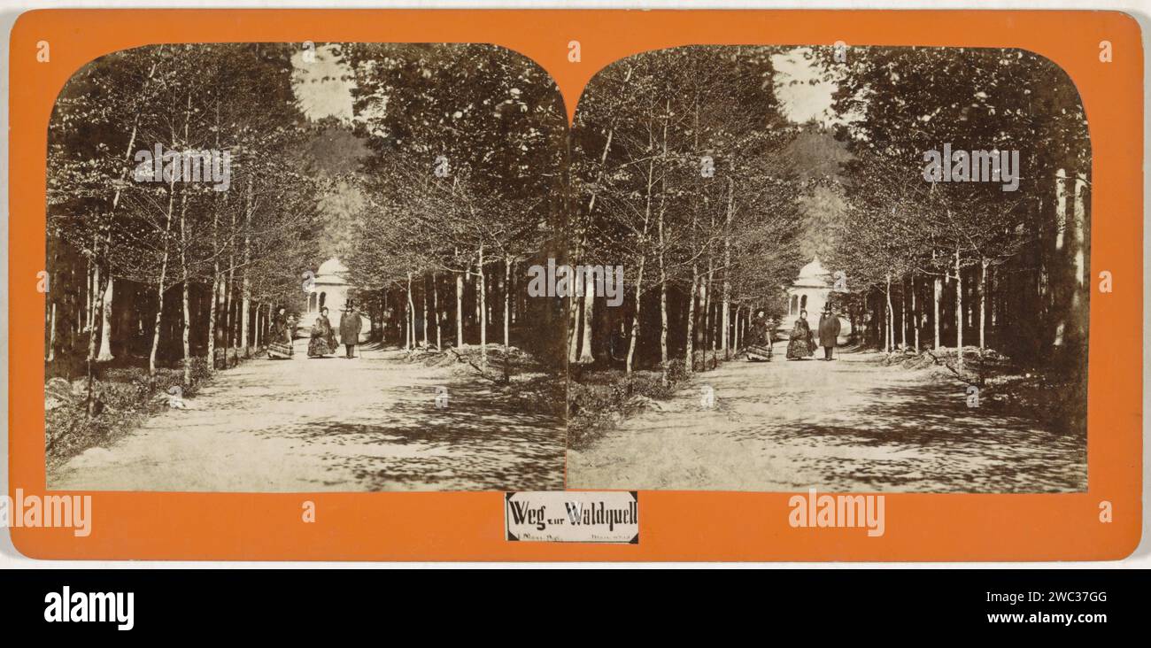 Weg Naar een bron in Het Bos, Mariánské Lázně, Ernst Pflanz, 1865 ...