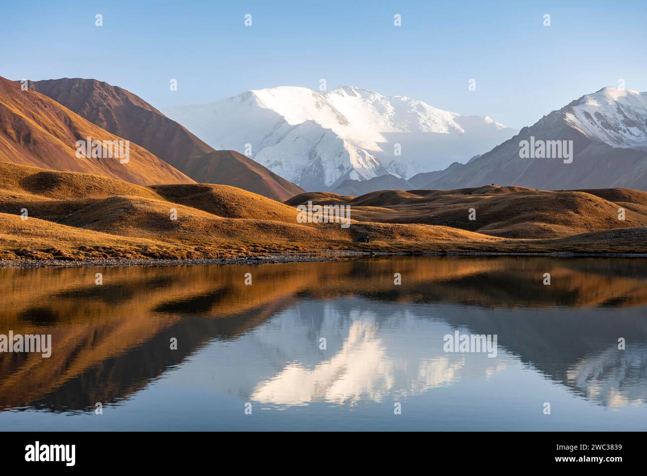 White glaciated and snowy mountain peak Pik Lenin at sunset, mountains ...