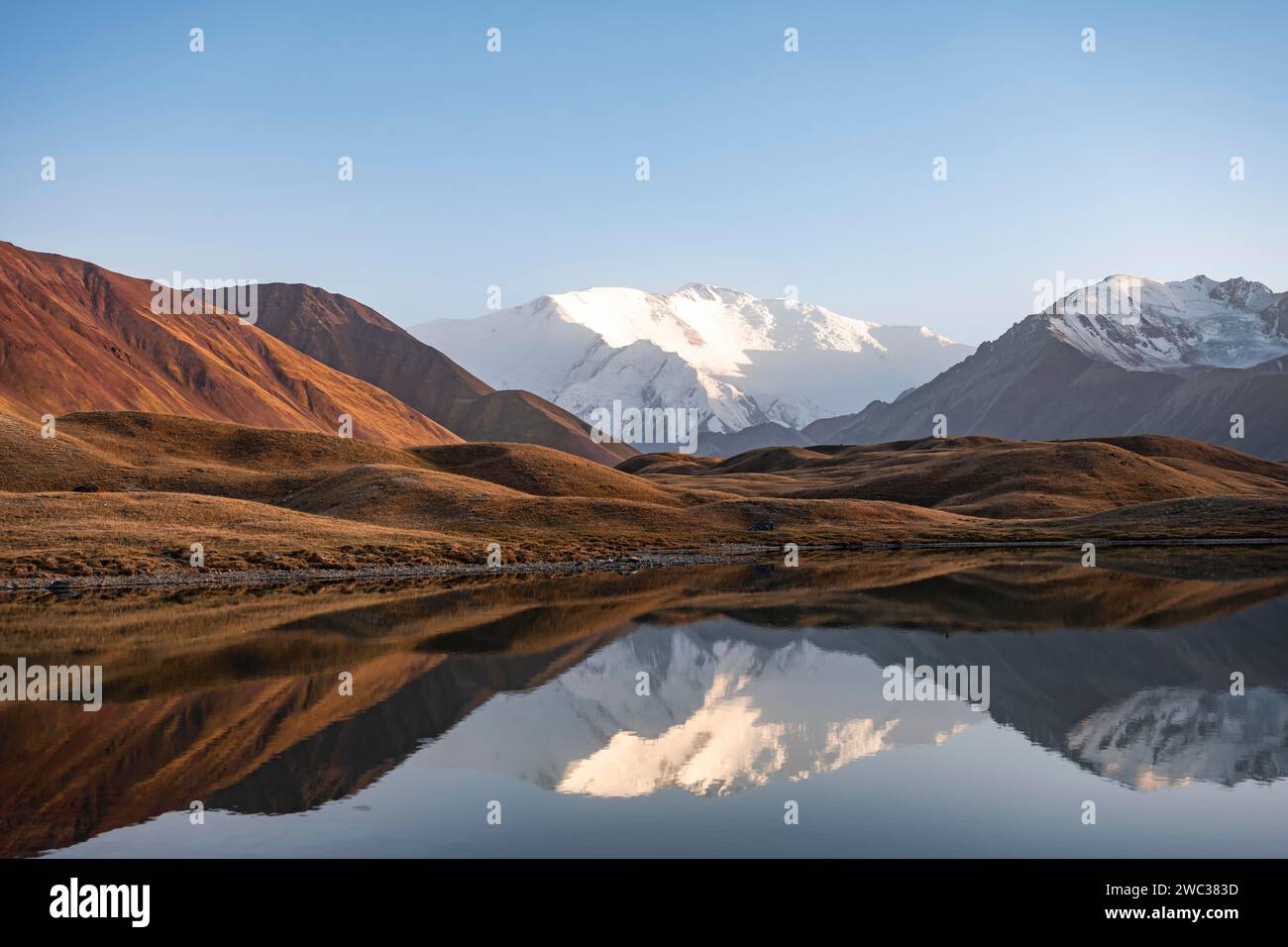 White glaciated and snowy mountain peak Pik Lenin at sunset, mountains ...