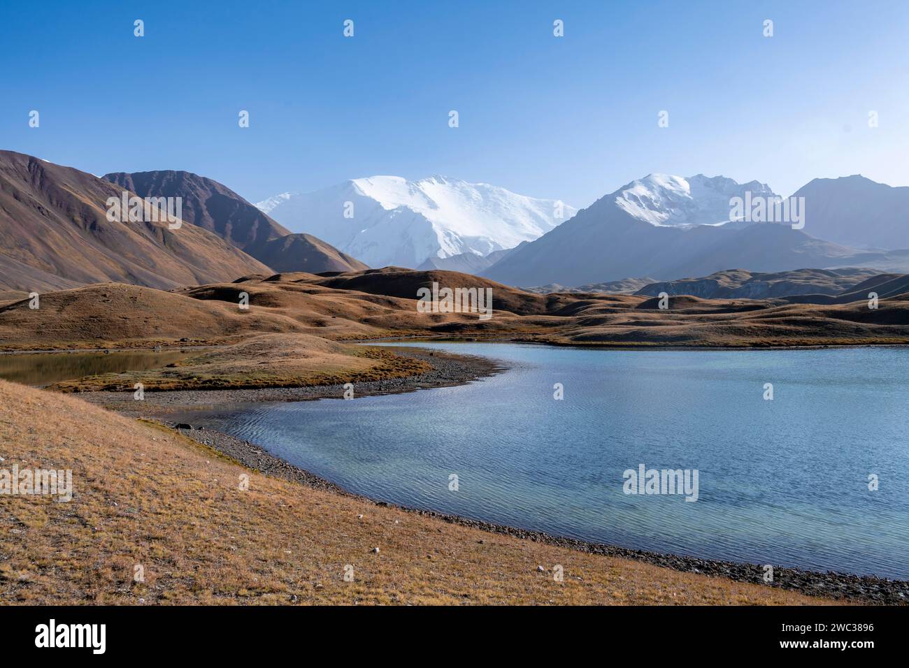 Reflected lenin hi-res stock photography and images - Alamy