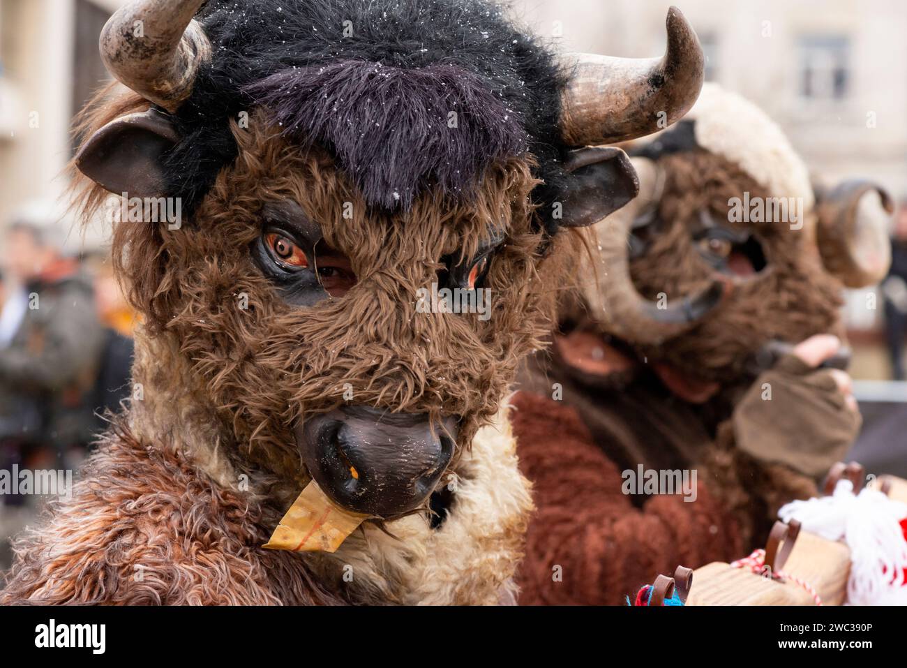 Bison masks hi-res stock photography and images - Alamy