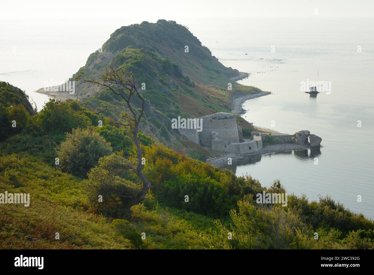 Rodon castle hi-res stock photography and images - Alamy