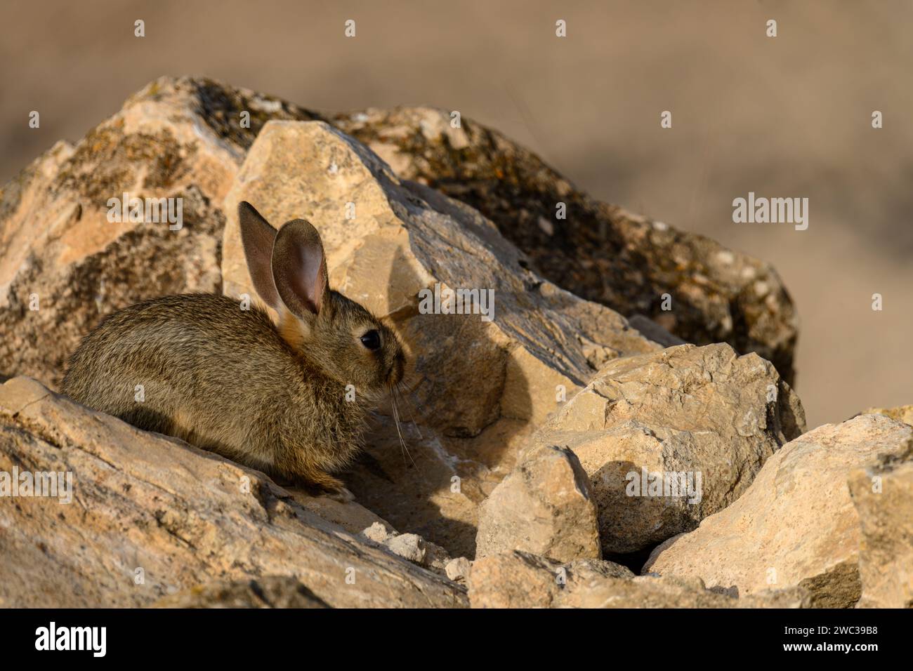 Blends rocky terrain hi-res stock photography and images - Alamy
