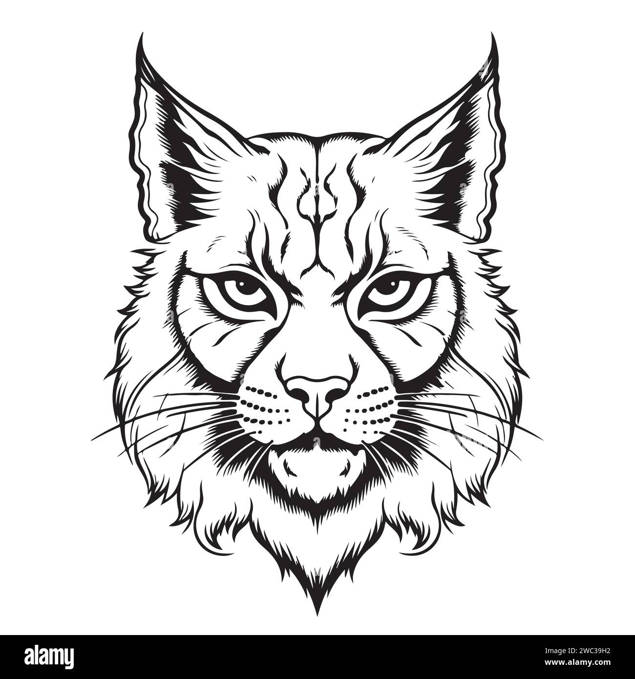 Lynx. Sketch, drawn, graphic portrait of a lynx head on a white ...